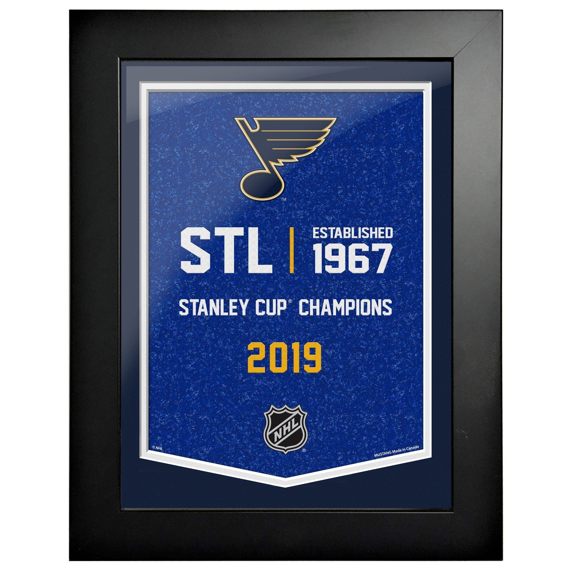 St. Louis Blues 12 x 16 Empire Framed Sign – STL Authentics